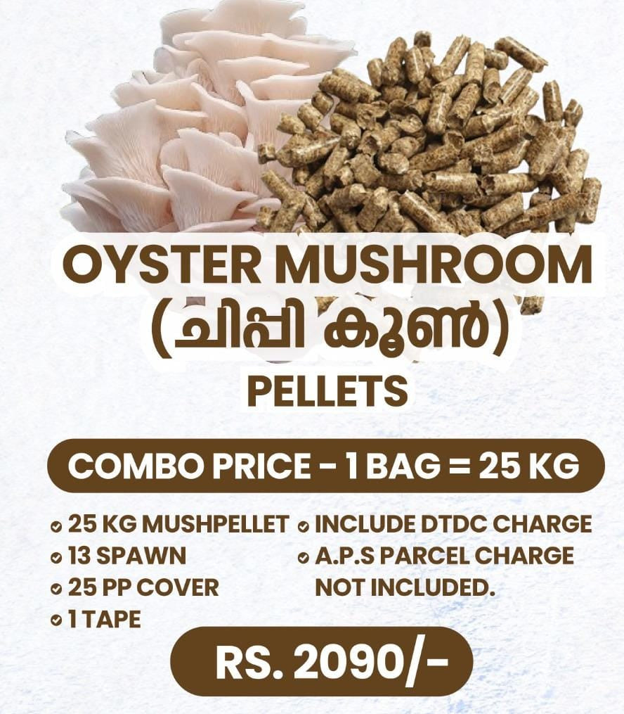 Oyster mushroom pellets combo – monsoonmushrooms